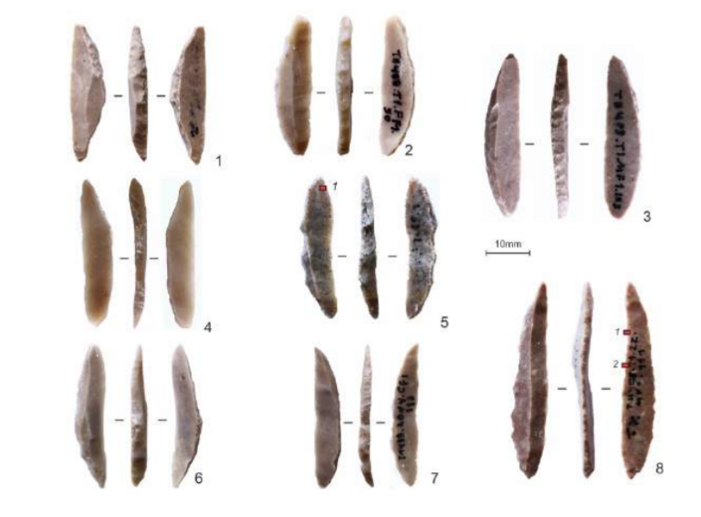 Traceological analysis of Paleolithic backed points from Dhofar ...